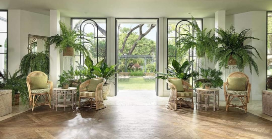 The Botanical House - Event Banana