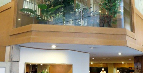 Edoya Japanese Restaurant - Event Banana