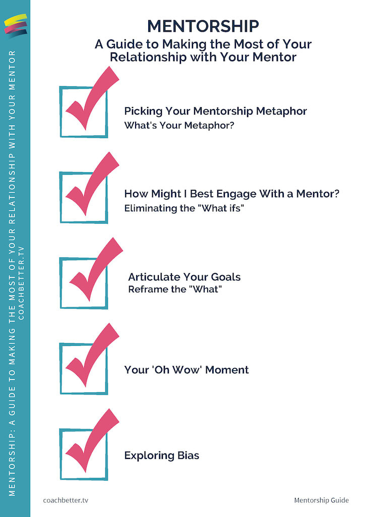 Mentorship Guide Workbook - Eduro Learning