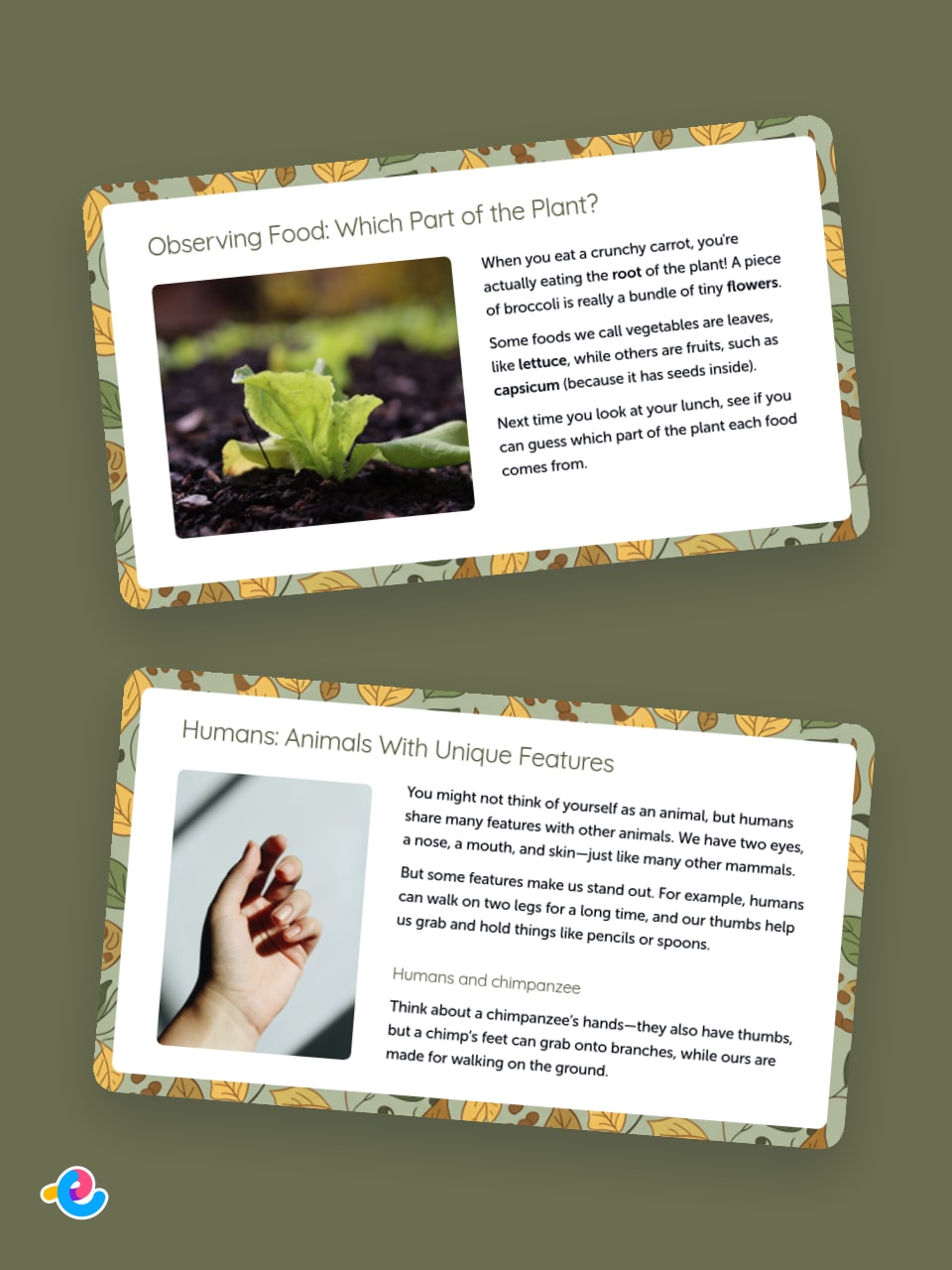 Grouping Living Things by Their Features Lesson Presentation Slides ...