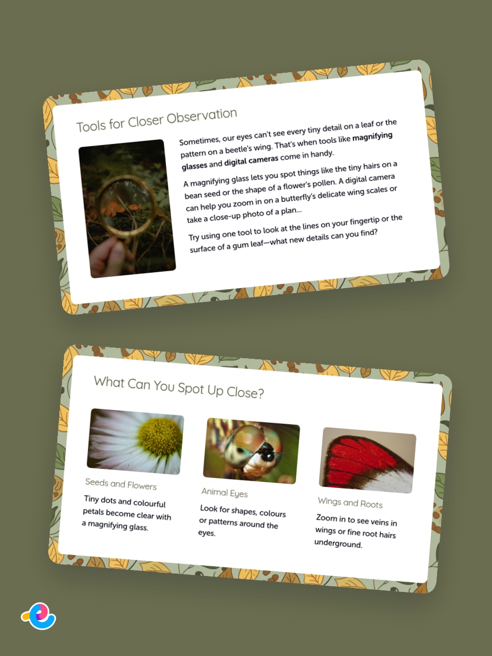 Grouping Living Things by Their Features Lesson Presentation Slides ...