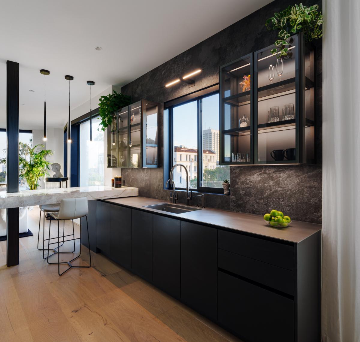 Santa Monica Penthouse Kitchen