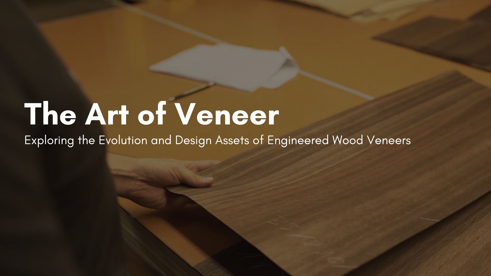 The Art of Veneer CEU Program