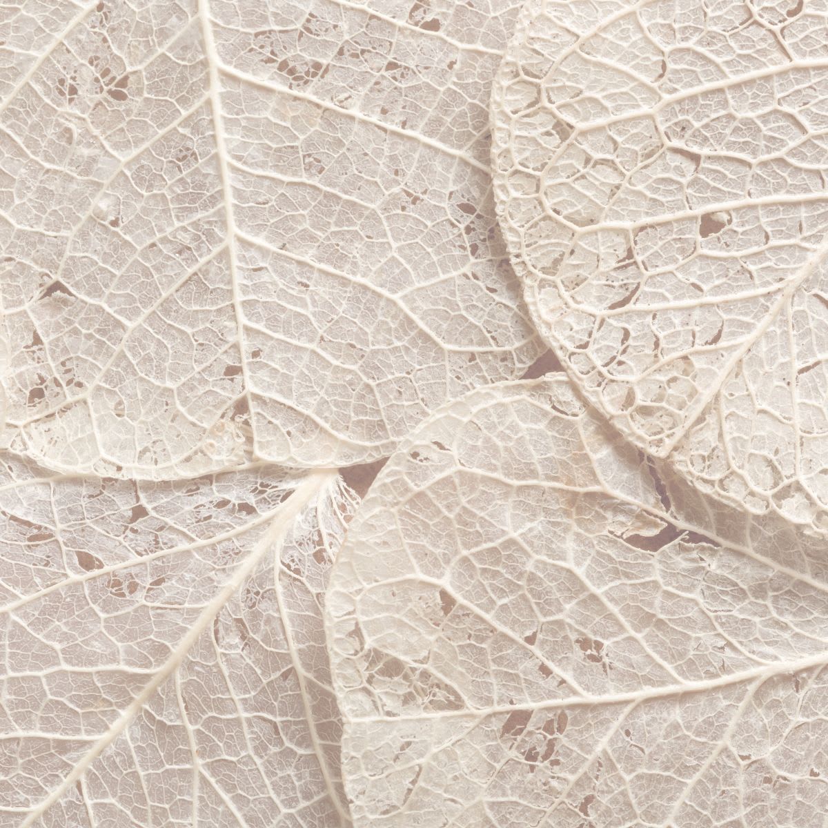 ecru: Pure, Calm, Timeless Hues - eggersmann