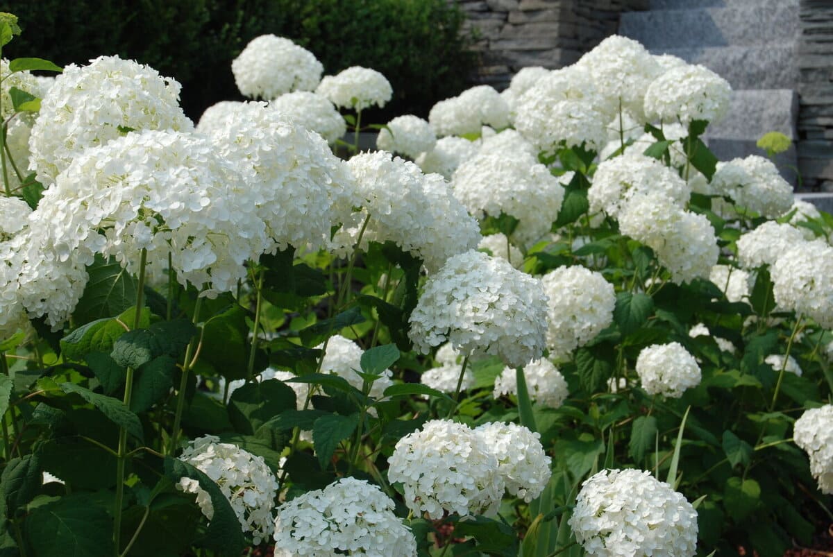 Robin Kramer: Designing with Nature - eggersmann Cabinetry