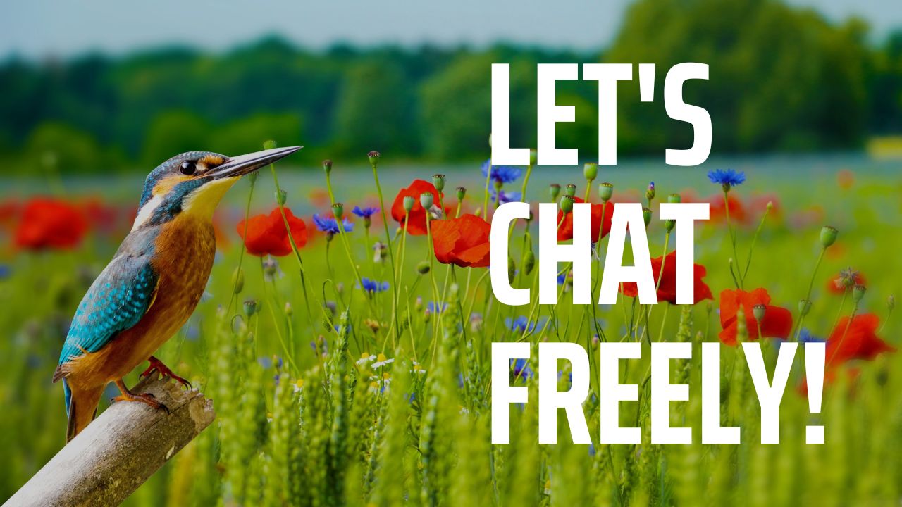 Let's chat freely! ~ 自由に雑談しましょう ~ | 英語ステーション