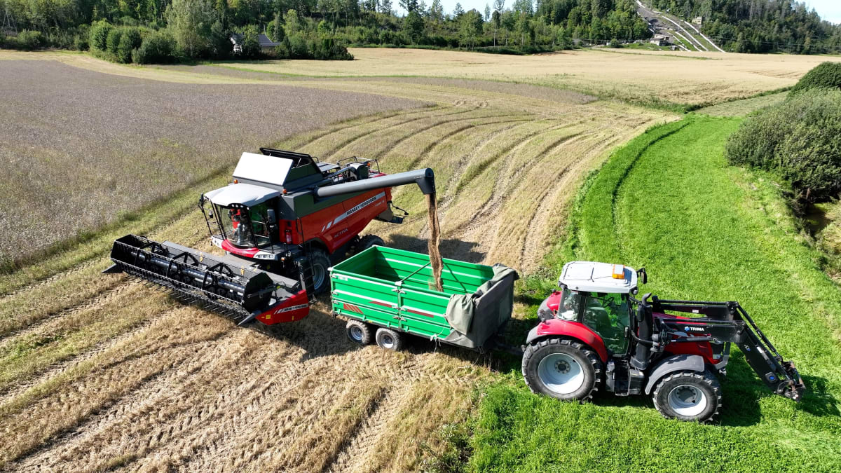 Massey Ferguson Activa 7345S - Skurtresker - Eiksenteret