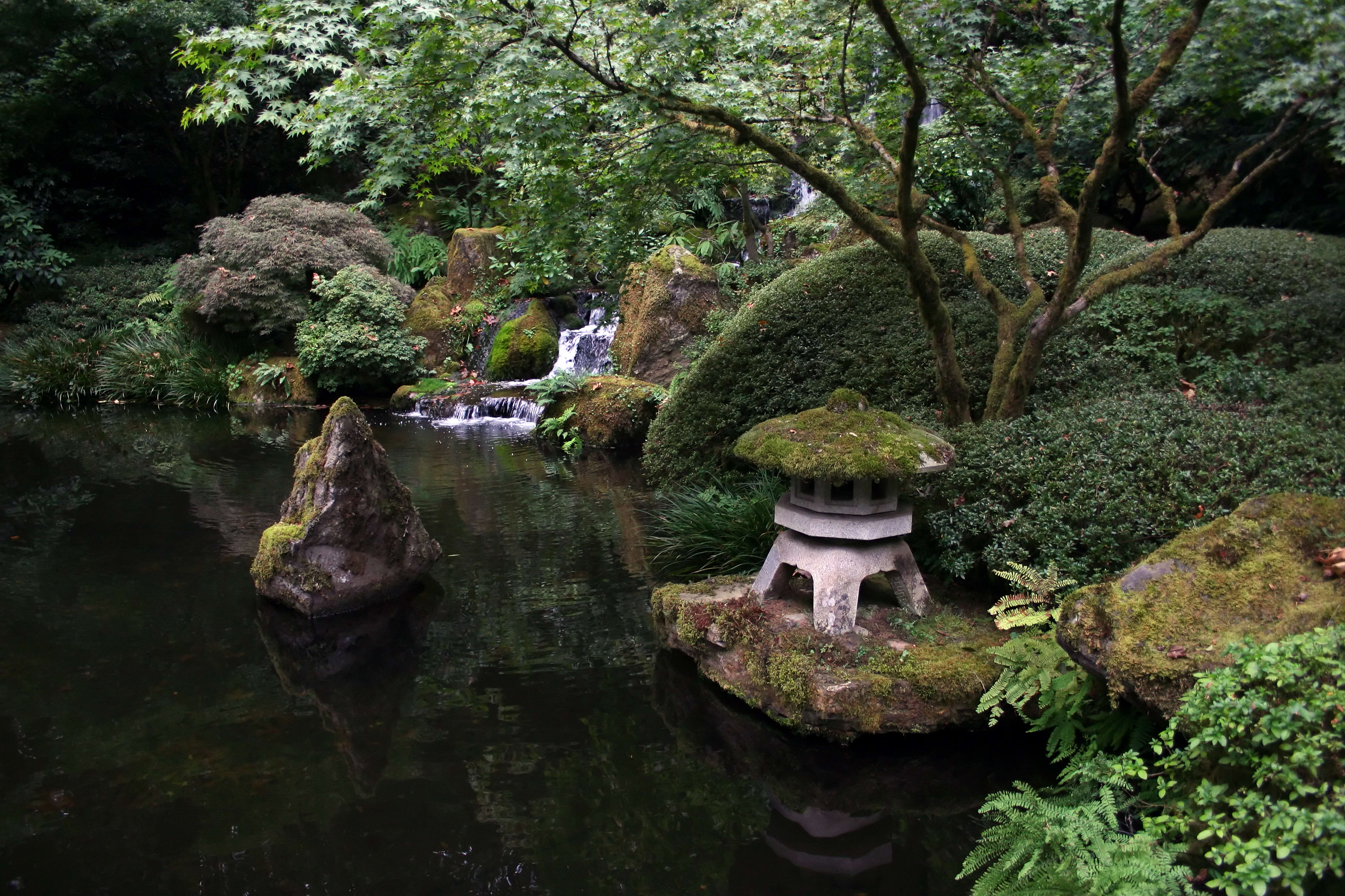 Zen-Weisheiten: wie du inneres Wachstum und Kraft erlangst