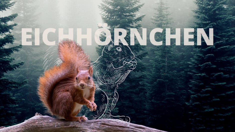 Spirituelle Bedeutung Eichhornchen