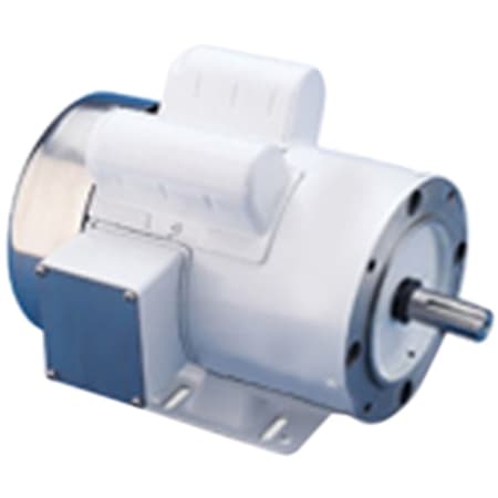 Leeson Washguard® 230V 1-Phase C-Face with Rigid Base Mount Totally ...