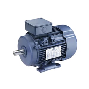 Leeson 460V 3-Phase B3/B5 Flange Rigid Base Mount Totally Enclosed Fan ...