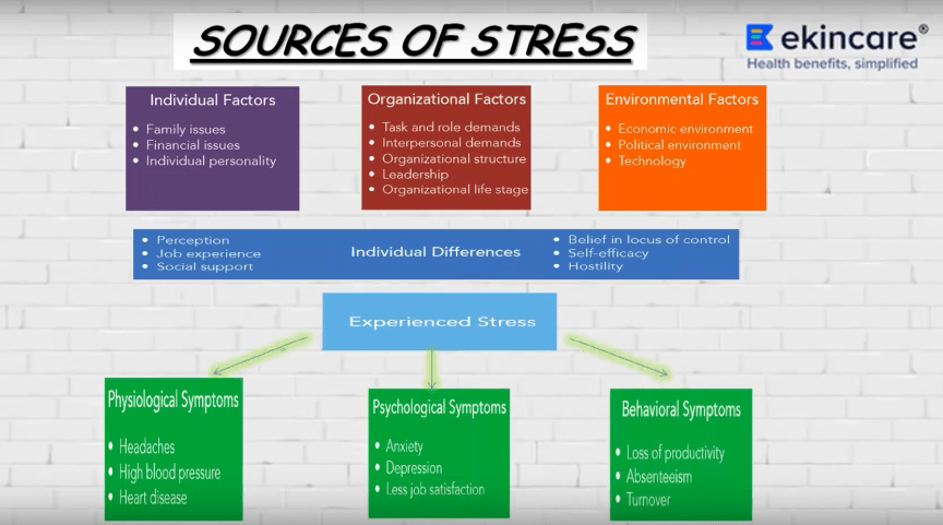 Understanding and Managing Your Stress Levels Effectively