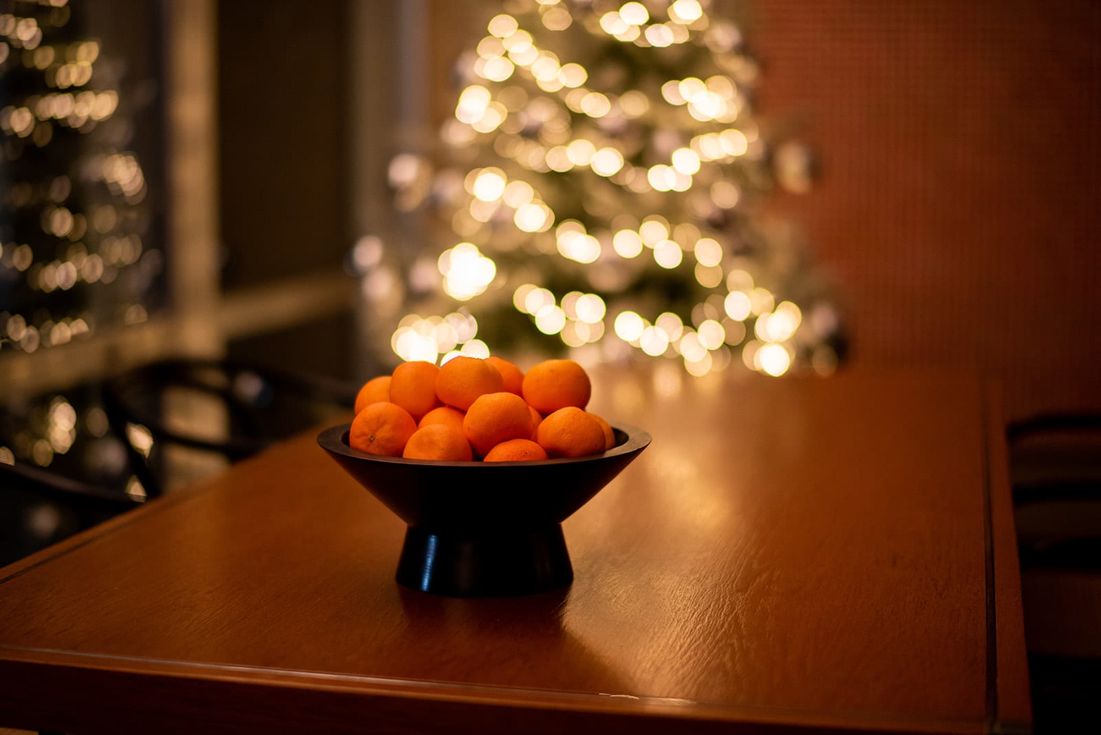 Winter Solstice Party | Elmhurst Art Museum