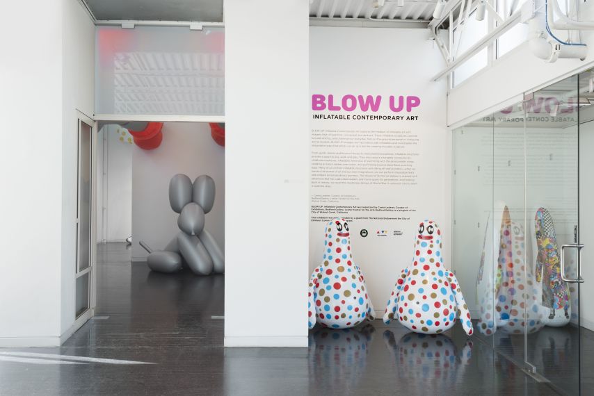 BLOW UP: Inflatable Contemporary Art | Elmhurst Art Museum