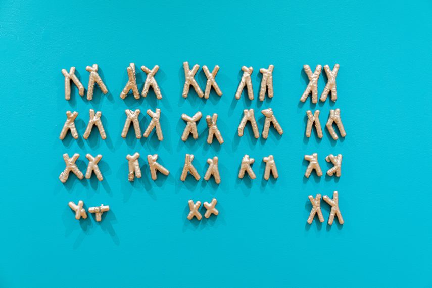 Nature's Blueprints: Biomimicry in Art and Design | Elmhurst Art Museum