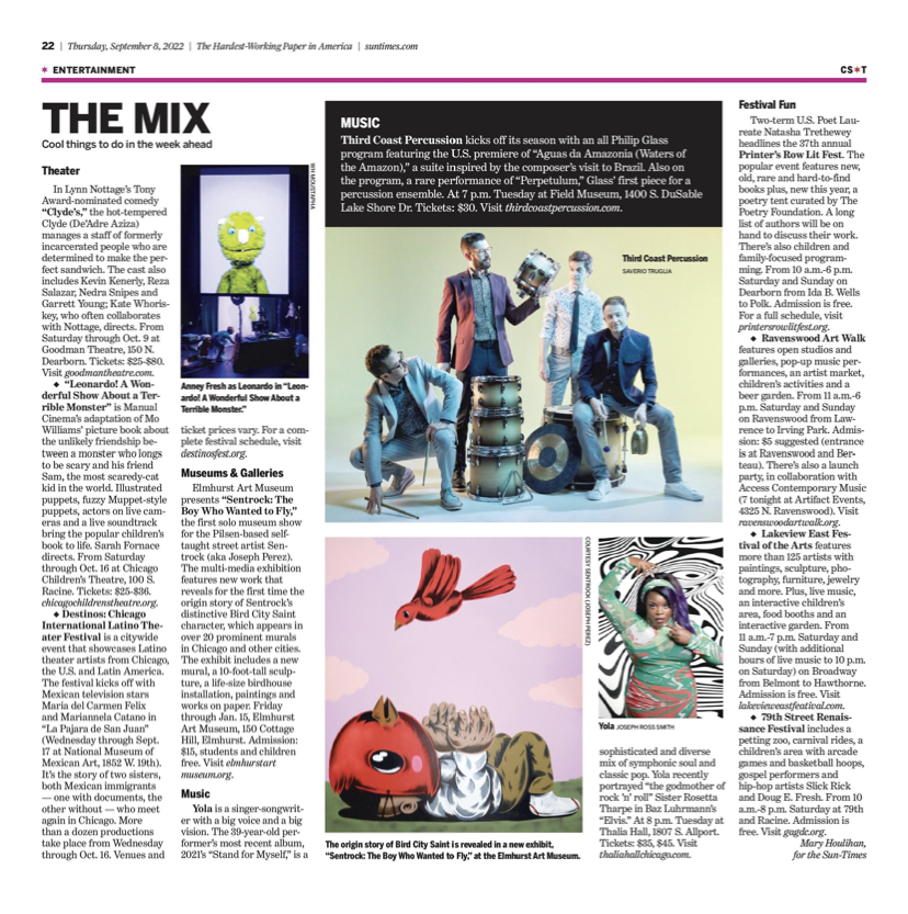 Sentrock: The Boy Who Wanted to Fly | Elmhurst Art Museum