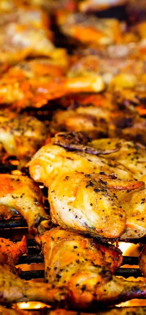 Order El Pollo Chulo