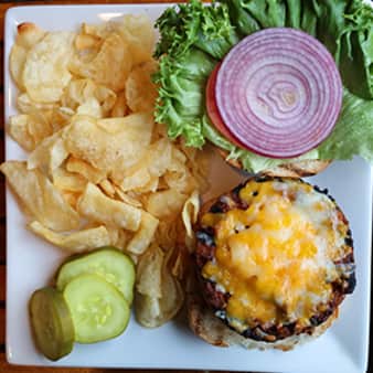 Order Dogtooth Bar & Grill