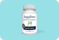 Embark Dog DNA Test: Their best life starts with Embark.