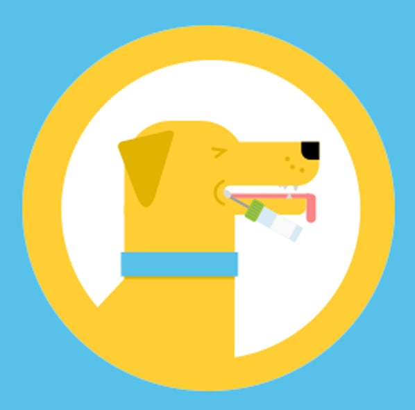 Dog DNA Test Kit: How to Swab Your Dog | Embark