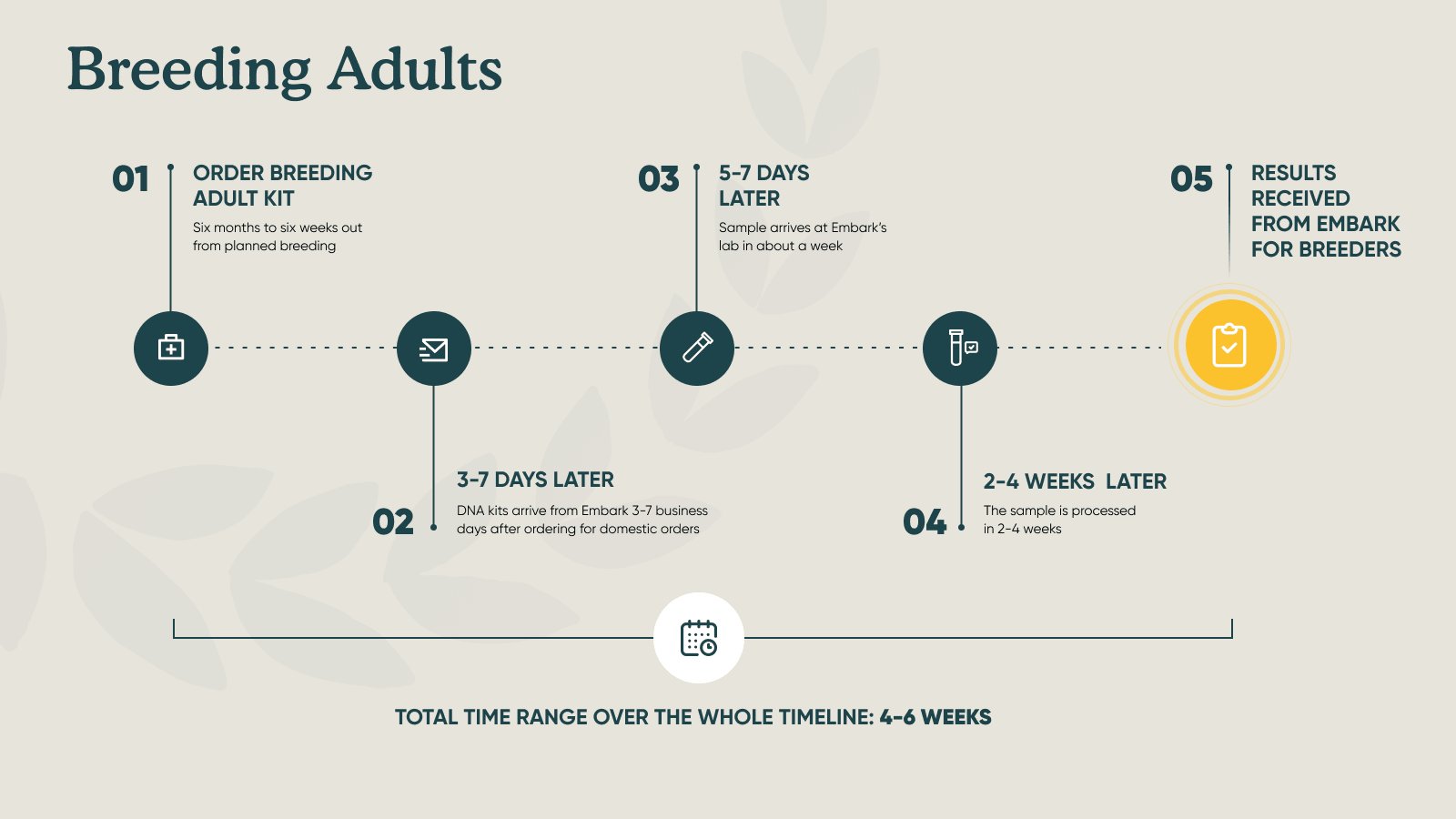 When Should I Order My DNA Test Kit? - Embarkvet
