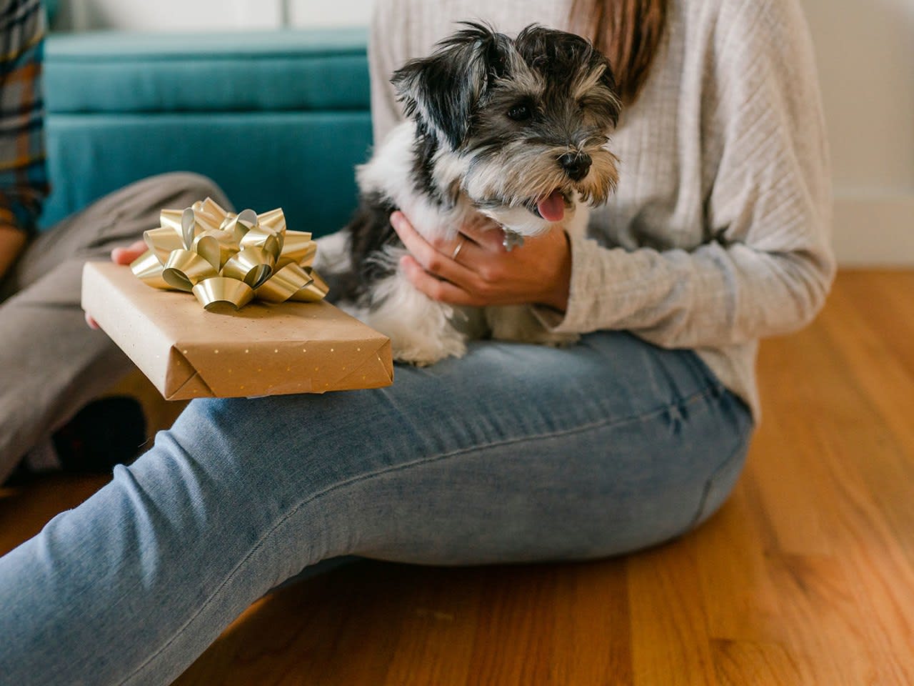 Vet-Approved Dog Gift Guide - Best Non-Toxic Gifts - Embarkvet