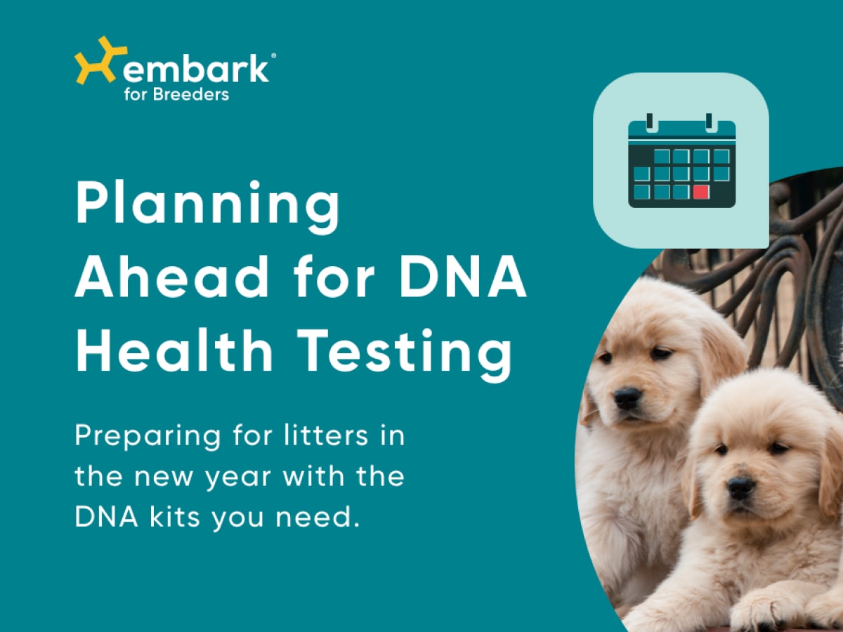 Planning Ahead for DNA Health Testing - Embarkvet