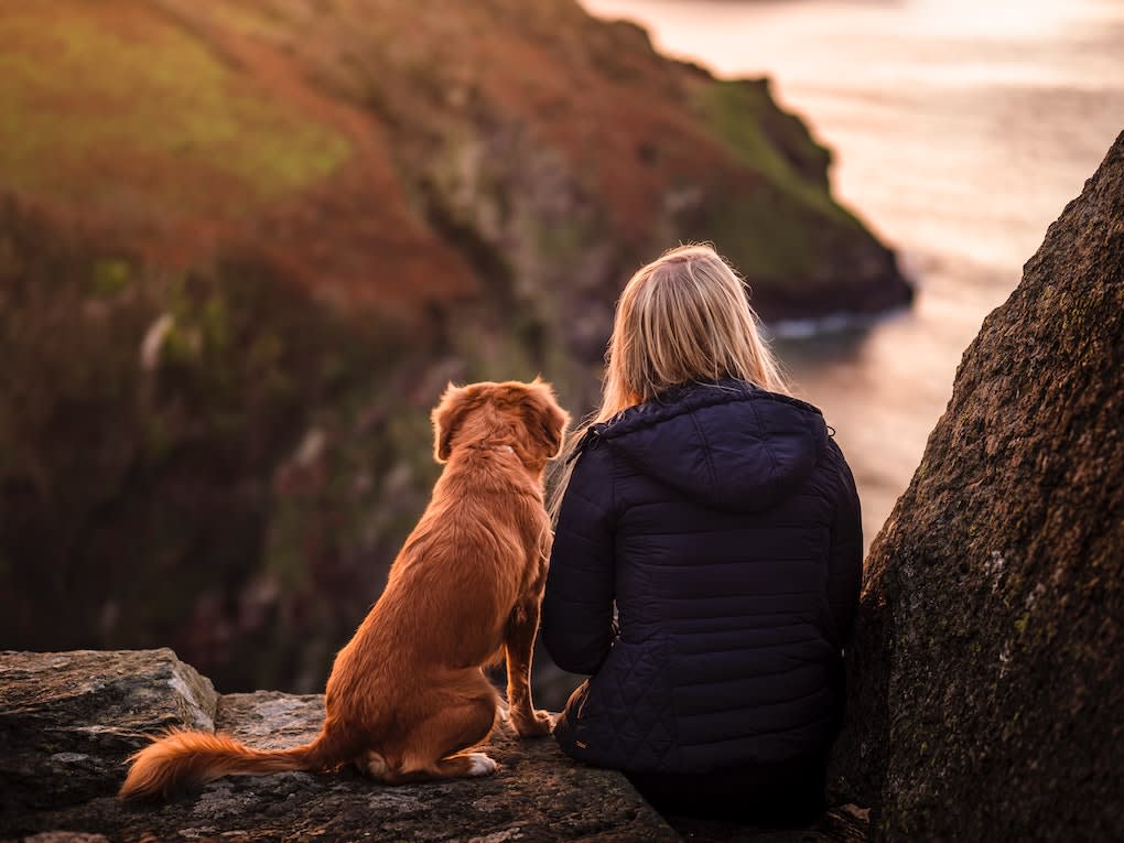The Shared History of Dogs and Humans - Embarkvet