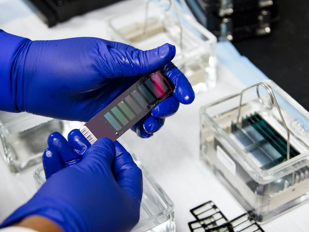 How DNA Genotyping Works - Embarkvet