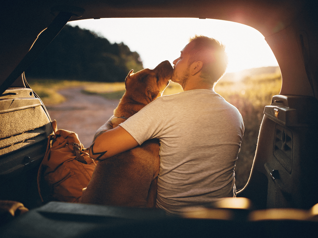 Humans and Dogs Share More Than Just DNA - Embarkvet