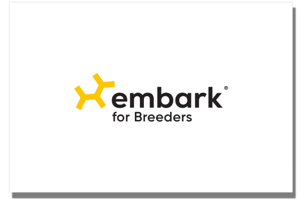 Koolies: Dog breed info, photos, common names, and more — Embarkvet