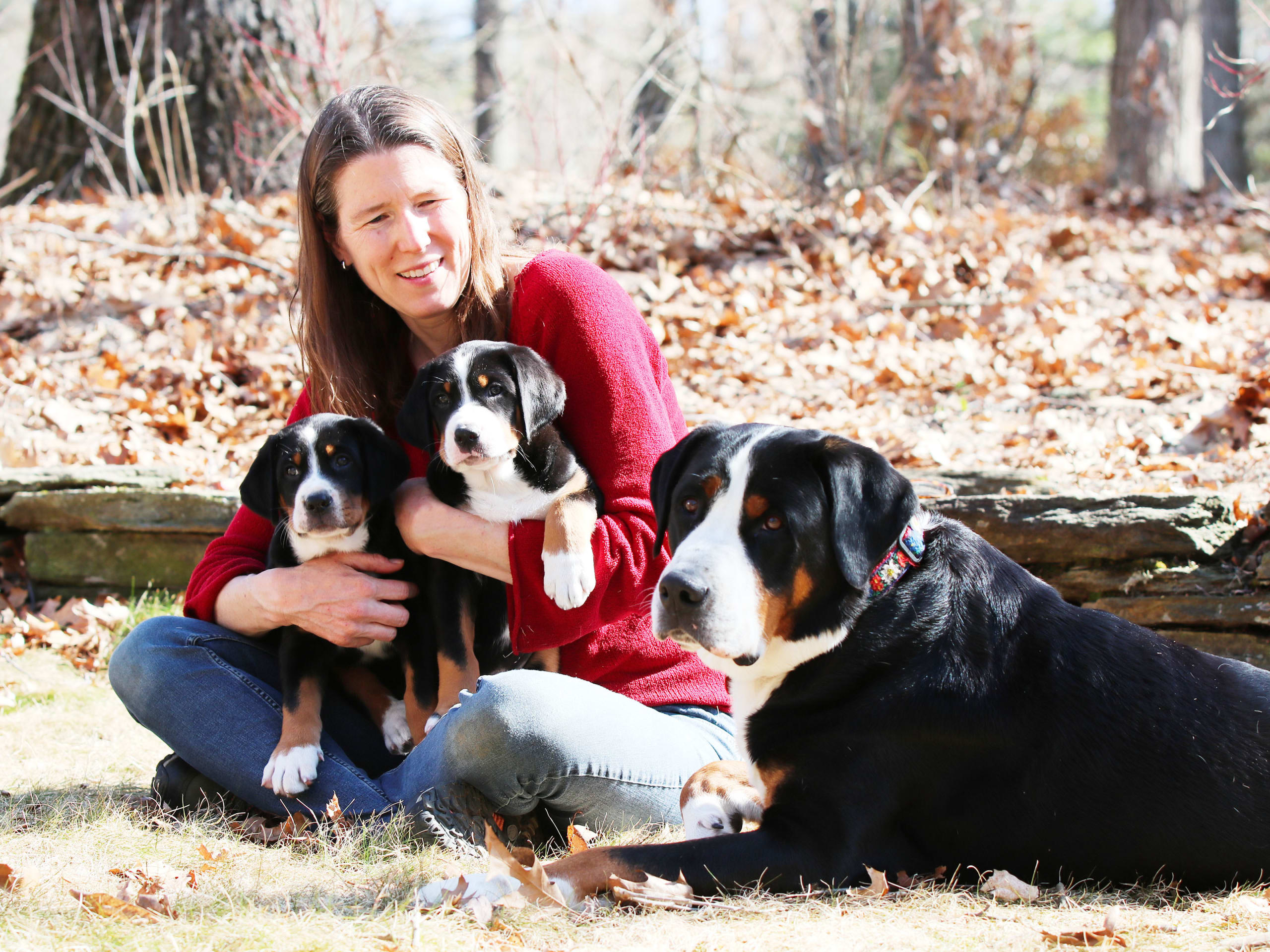 Top 20 Questions to Ask Breeders Before Buying a Puppy - Embarkvet