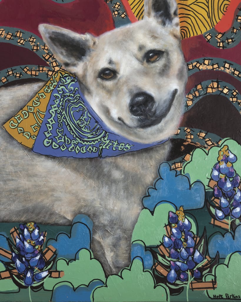 Taki, the Tito’s Handmade Vodka Distillery Dog - Embarkvet