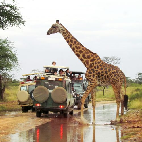 Embark Exploration Co. | Adventure Gallery - Embark Exploration Co.