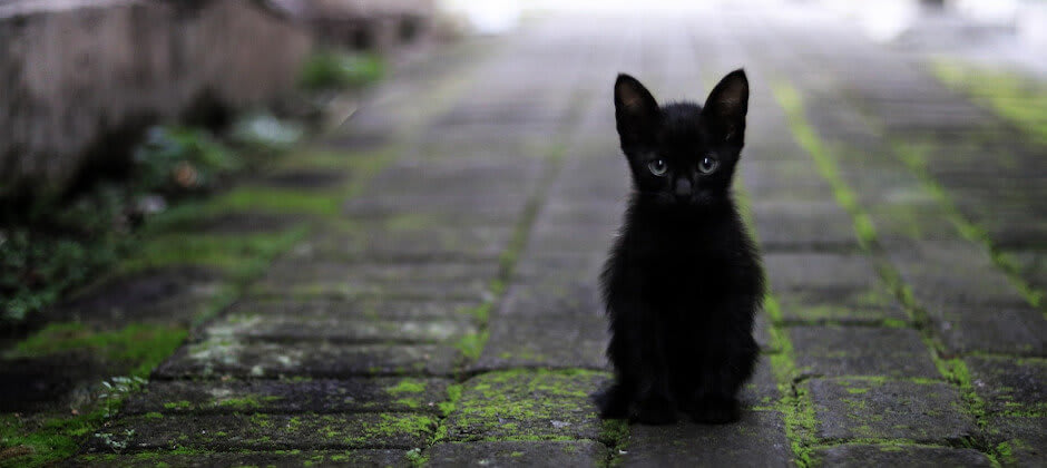 Das Schwarze-Peter-Syndrom