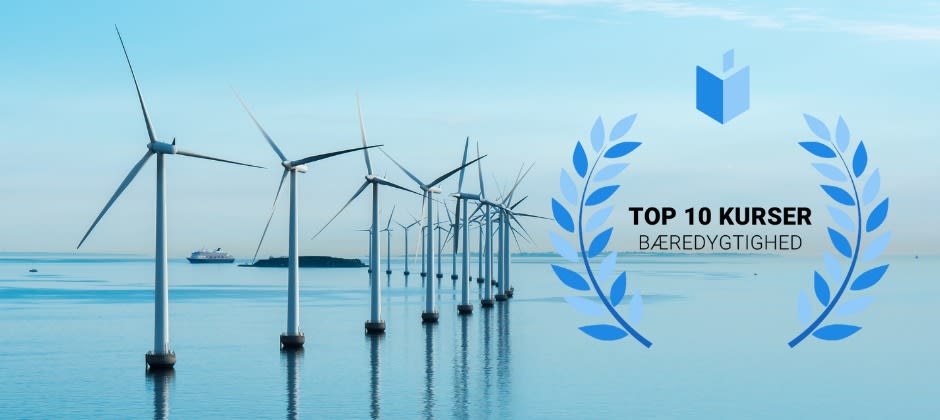 Top 10 kurser inden for bæredygtighed | Se listen her
