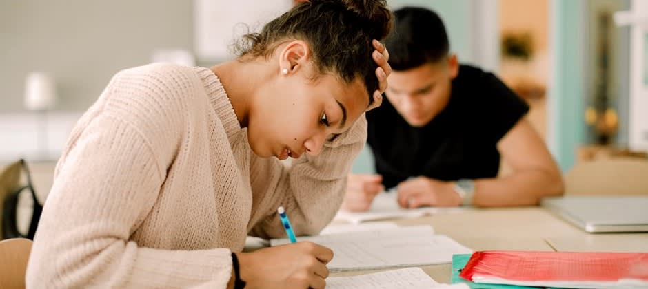 Introduktionsprogrammet