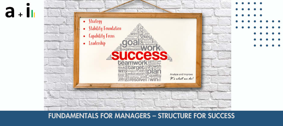 Fundamentals for Managers – Structure for Success, Analyze and Improve Inc.