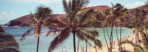 Suorita opintovuosi Honolulussa | EF Education First