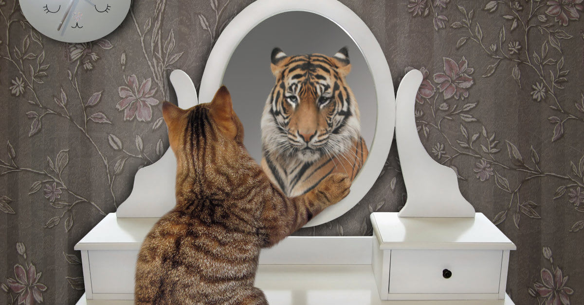 Selbstreflexion – So geht's!