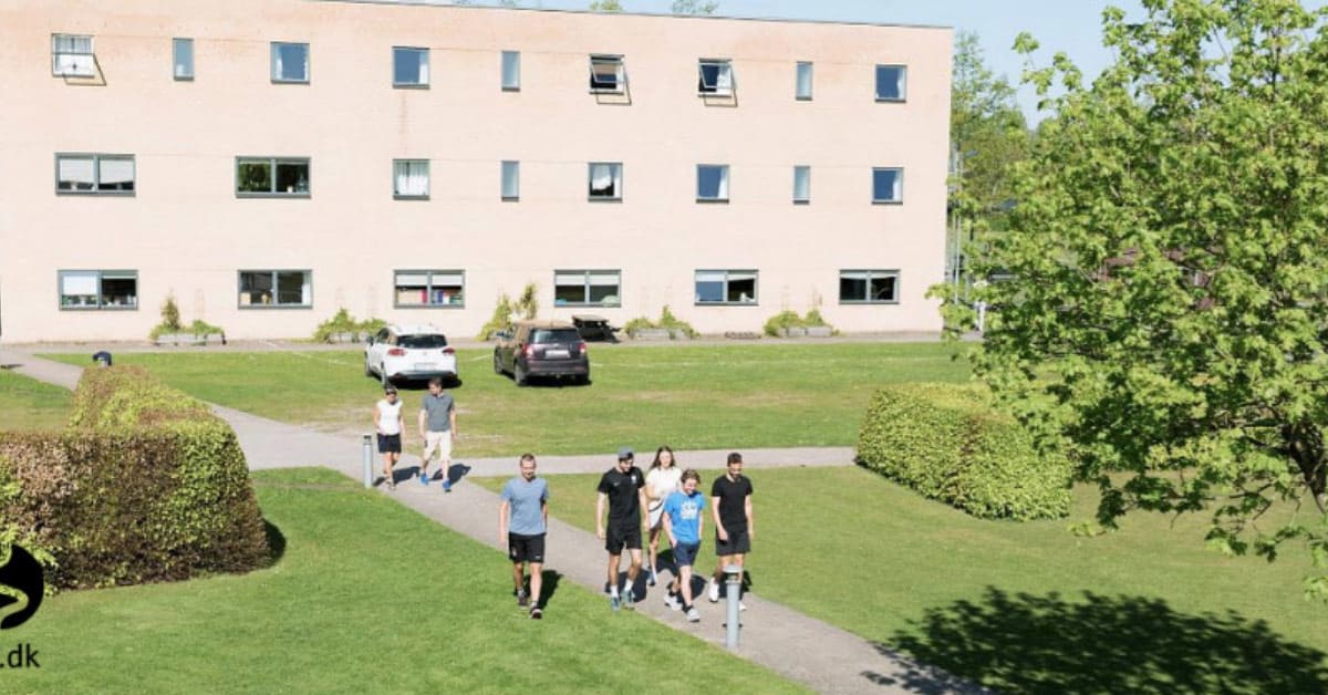 Bliv elev på ISI Idrætshøjskole | Find din linje nu