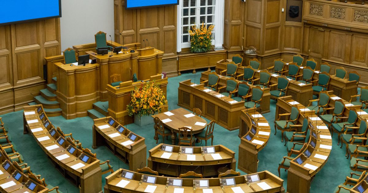 Hvordan bliver man politiker? | Vi giver dig svaret her