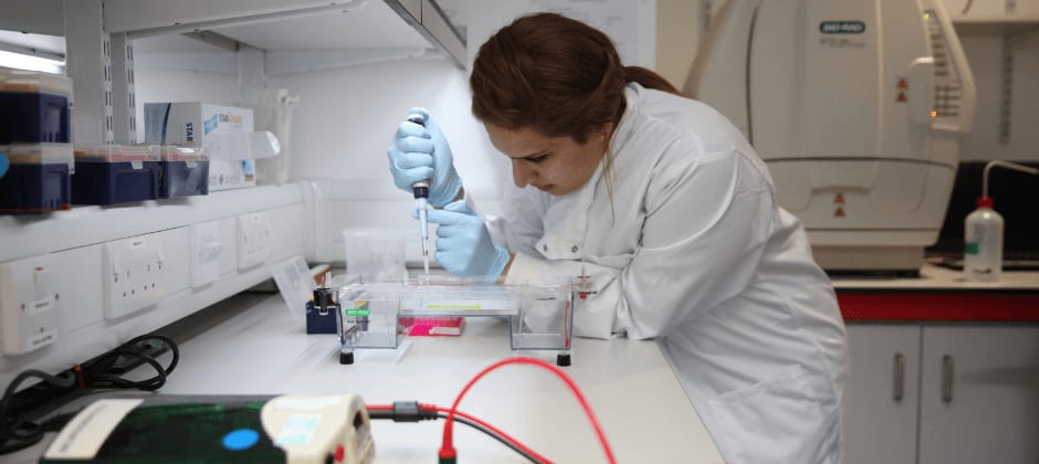 Devices and MRI Compatibility