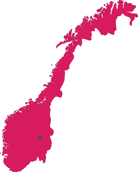 Hamar: Norges 10. beste studentby 2023