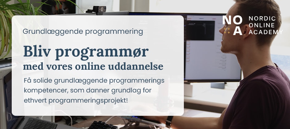 Grundlæggende programmering
