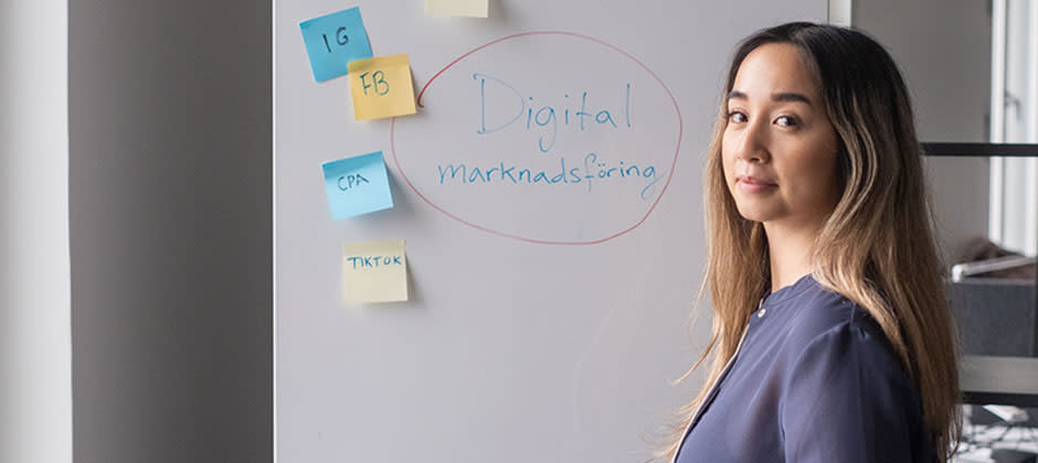 Digital marknadsföring från början, Moderskeppet