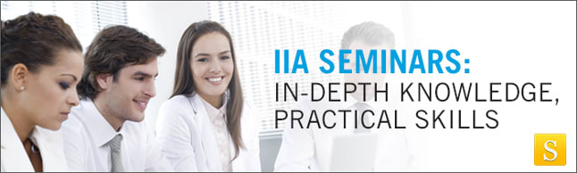 The Institute of Internal Auditors