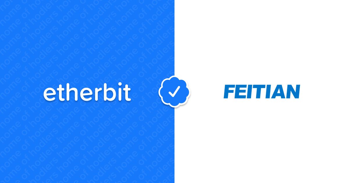 Feitian - FIDO Certified Security Keys - Etherbit.in