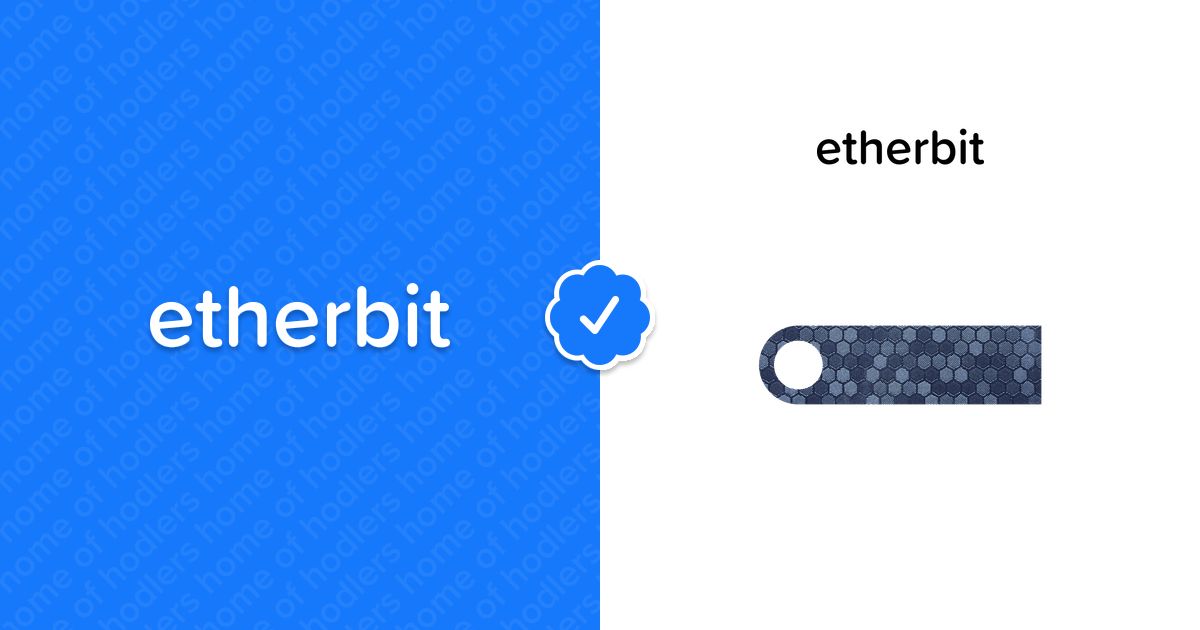 Etherbit Skin for Ledger Nano X - Nordic Blue Honeycomb - Hardware ...