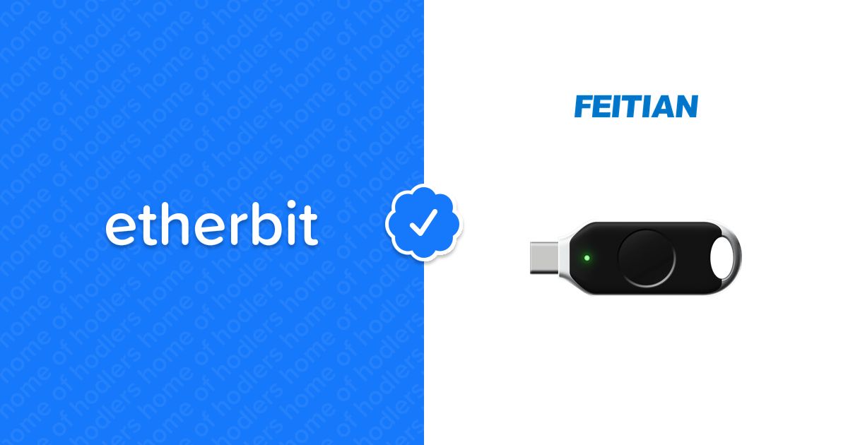 Feitian BioPass FIDO2 Pro (K49) - USB-C multi-factor authentication security key - Security key ...